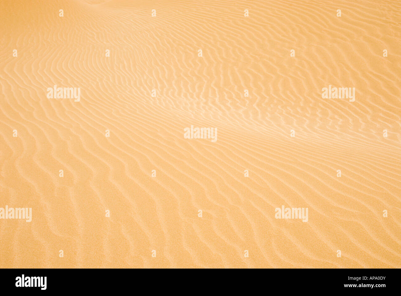 Patterns in sand Stock Photo - Alamy
