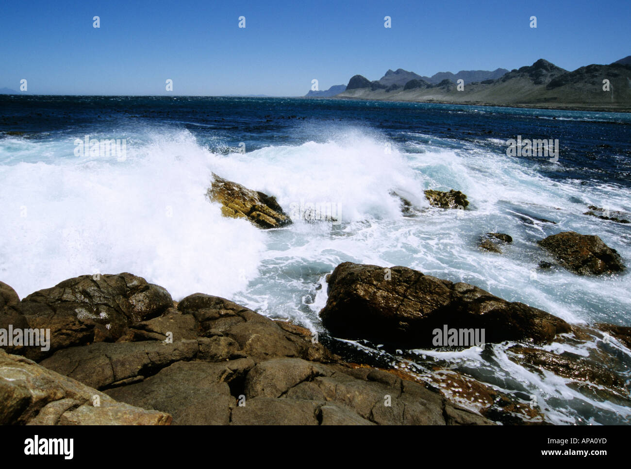 Pringle bay beach hi-res stock photography and images - Alamy