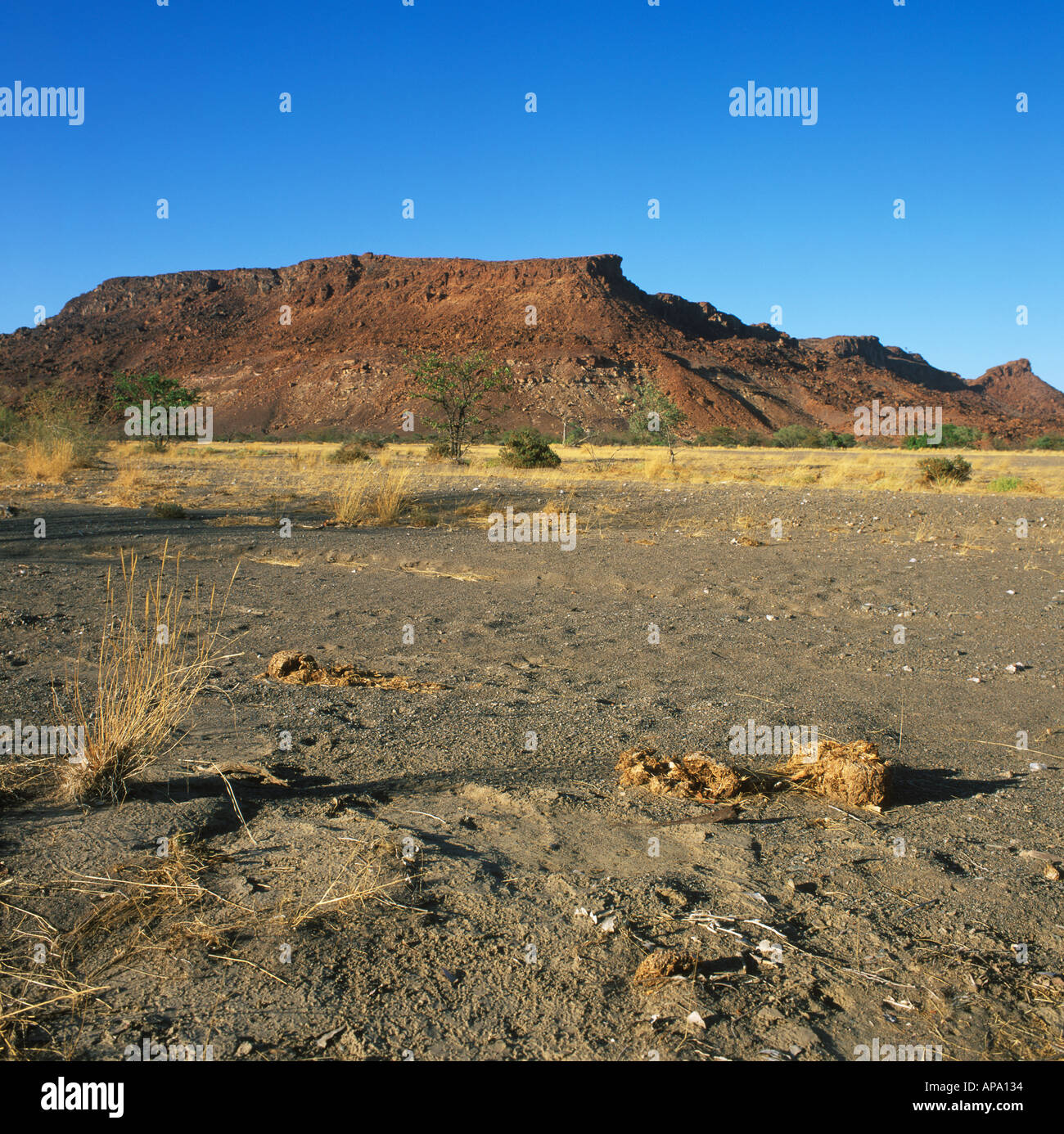 Elephant tracks hi-res stock photography and images - Alamy