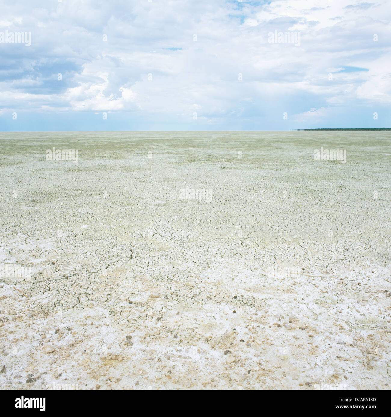 The Salt Pan in Etosha National Park Namibia Stock Photo - Alamy