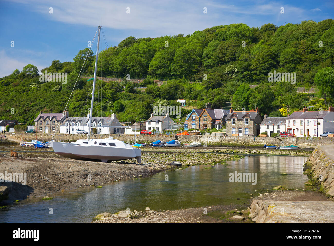 Fishguard harbour boats hi-res stock photography and images - Alamy