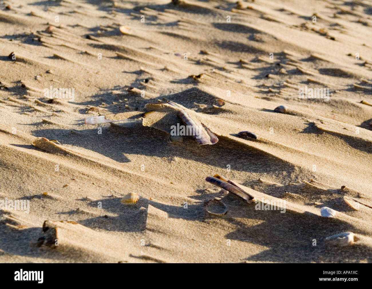 Wind Blown Sand Stock Photo - Alamy