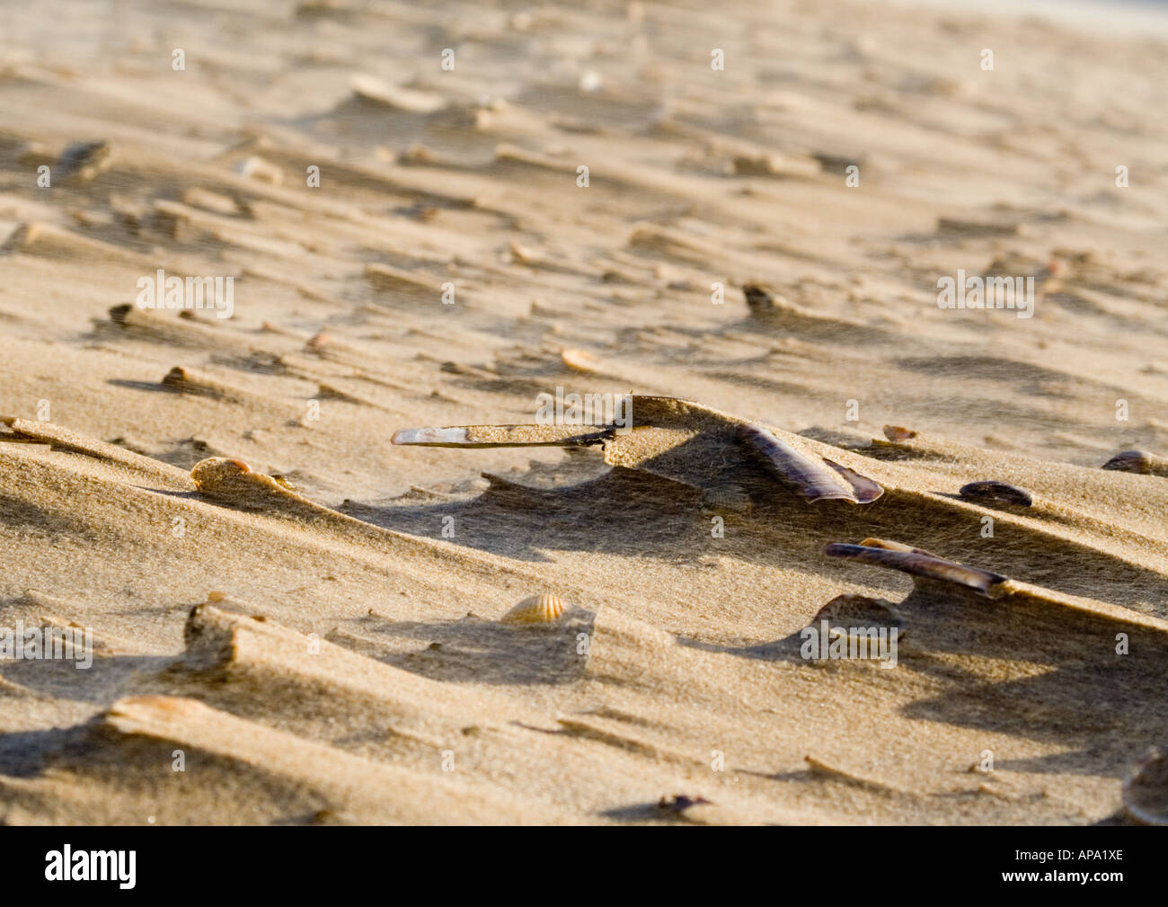 Wind Blown Sand Stock Photo - Alamy