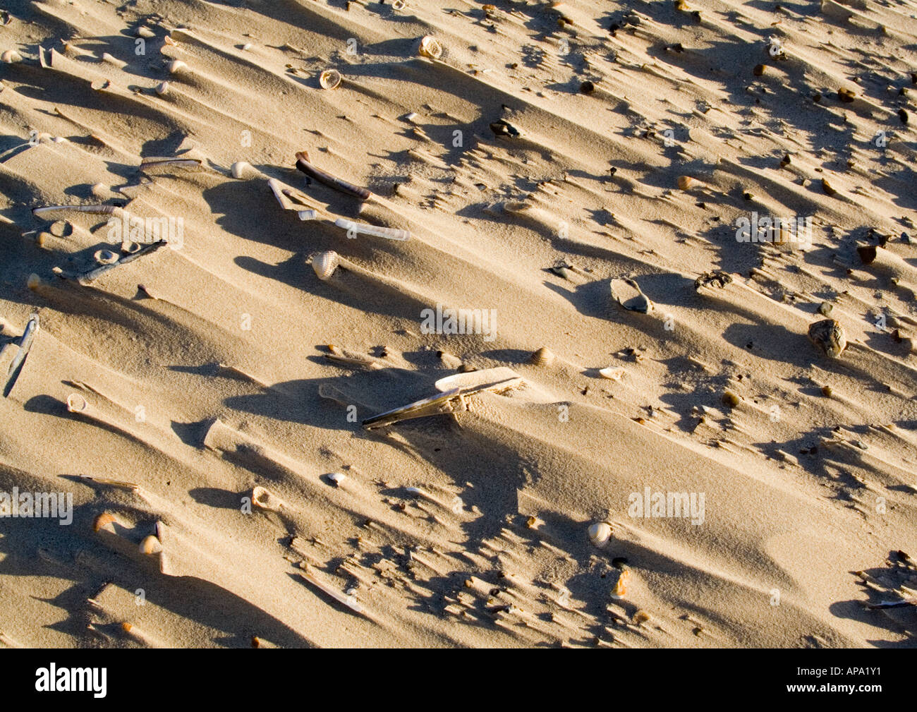 Natural shading patterns hi-res stock photography and images - Alamy
