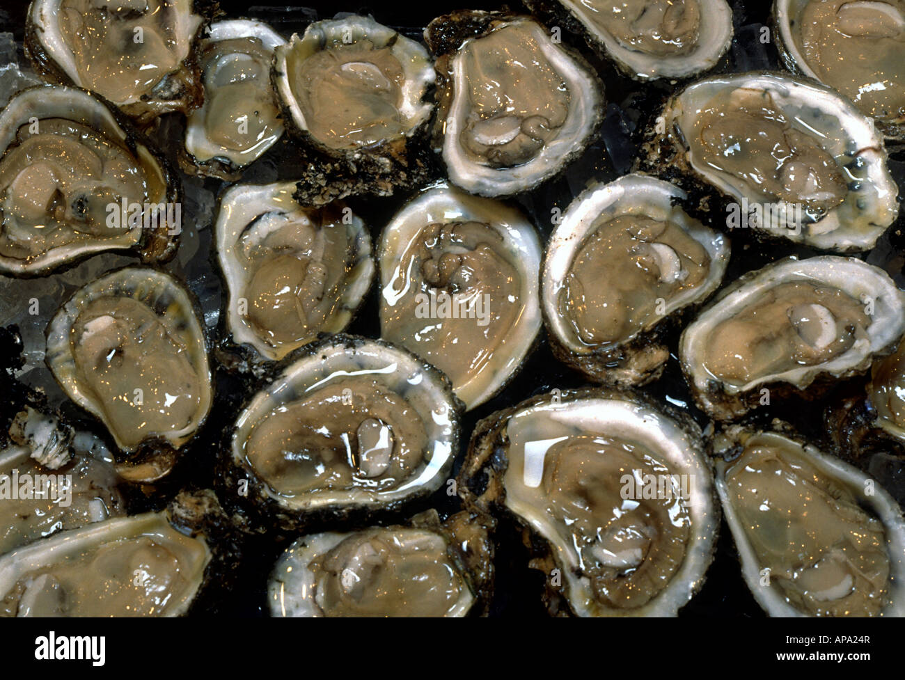 New orleans food hi-res stock photography and images - Alamy