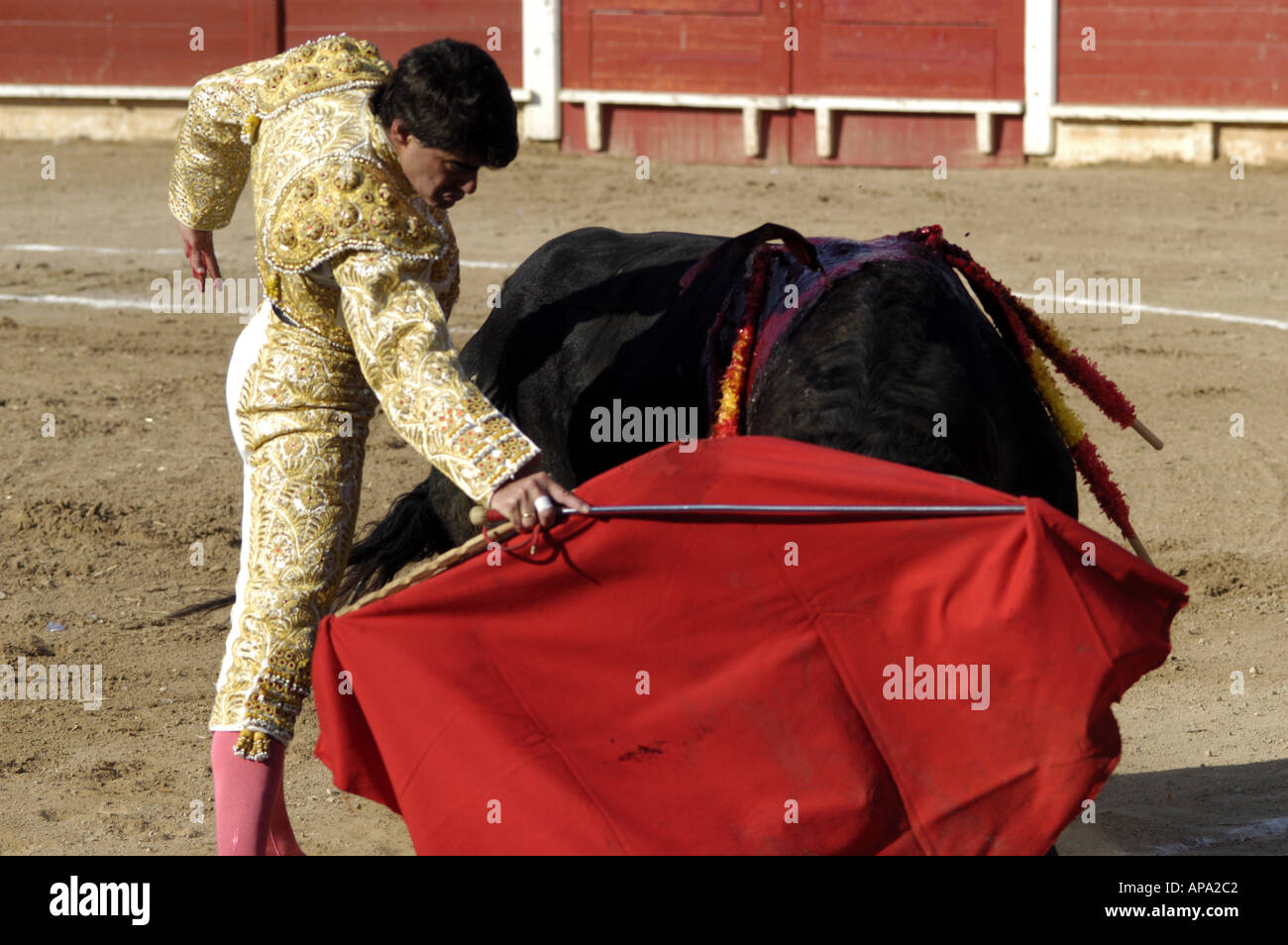 Bullfight traditional spanish event hi-res stock photography and images ...