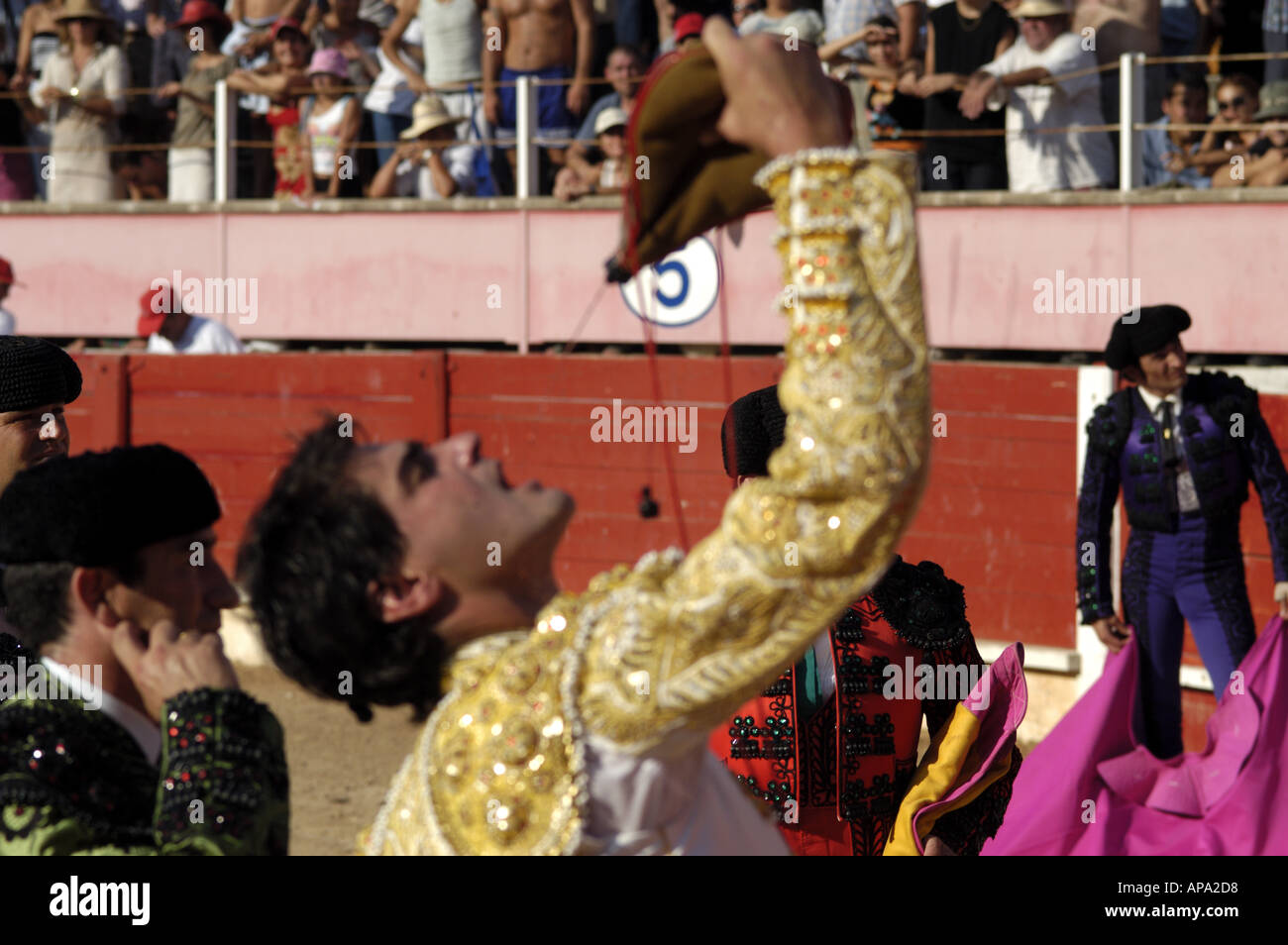 A portrait of a young Spanish bull fighter Stock Photo - Alamy