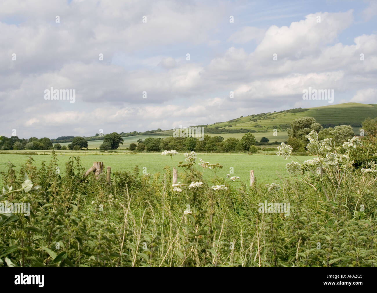 Roundway hi-res stock photography and images - Alamy