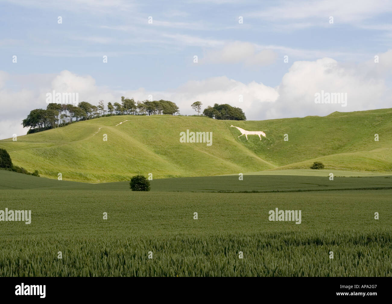 Cherhill hi-res stock photography and images - Alamy