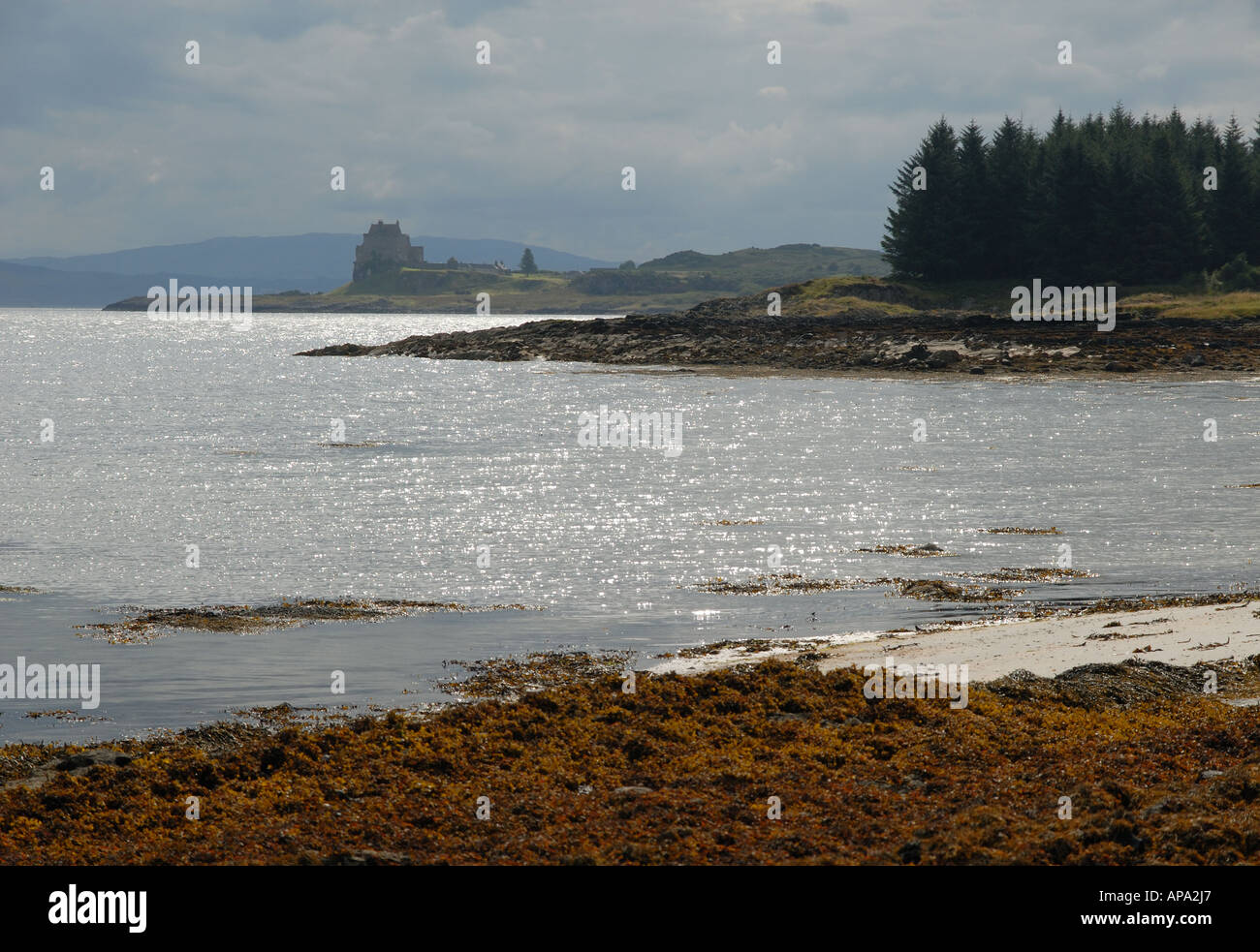 View towards Duart Castle on the Isle of Mull, Scotland Stock Photo - Alamy