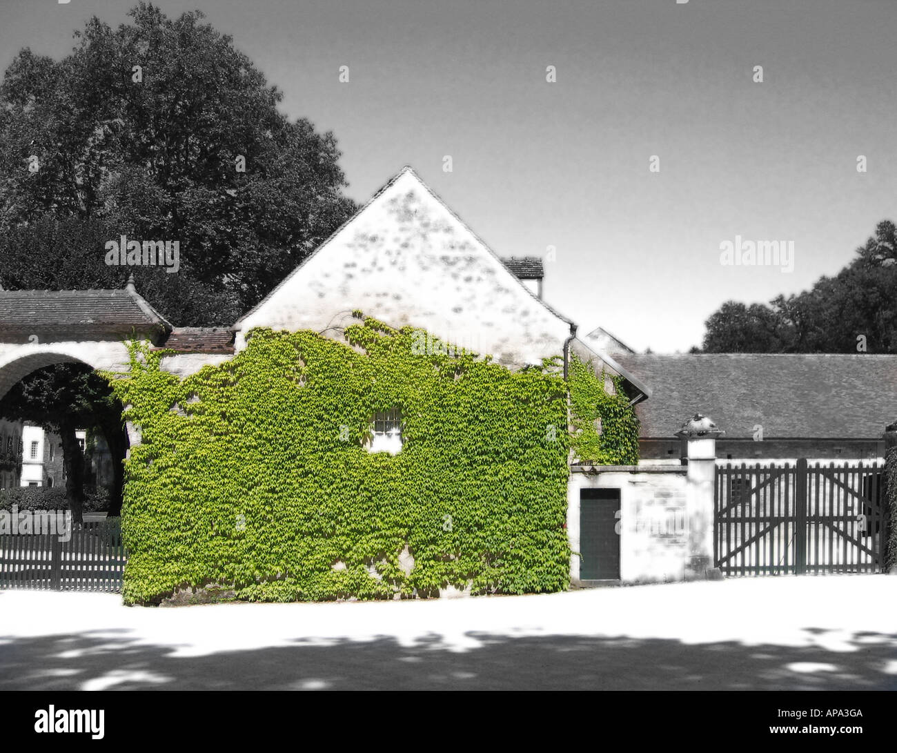 Ivy clad farm building, Burgundy, France Stock Photo - Alamy