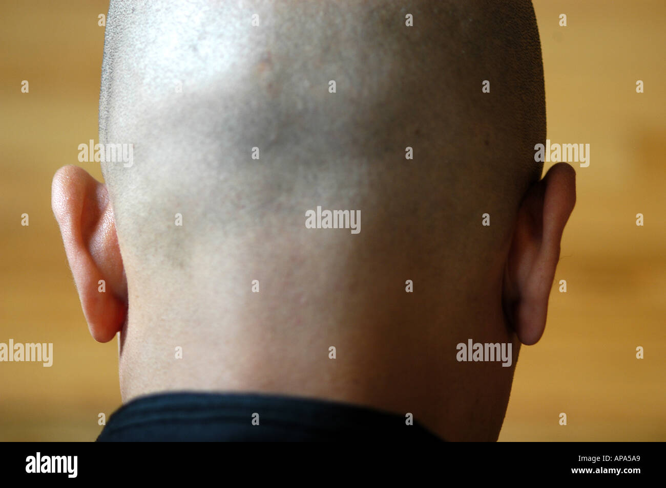 Back of shaved head close up centered wood floor bkgrnd Horizontal top ...