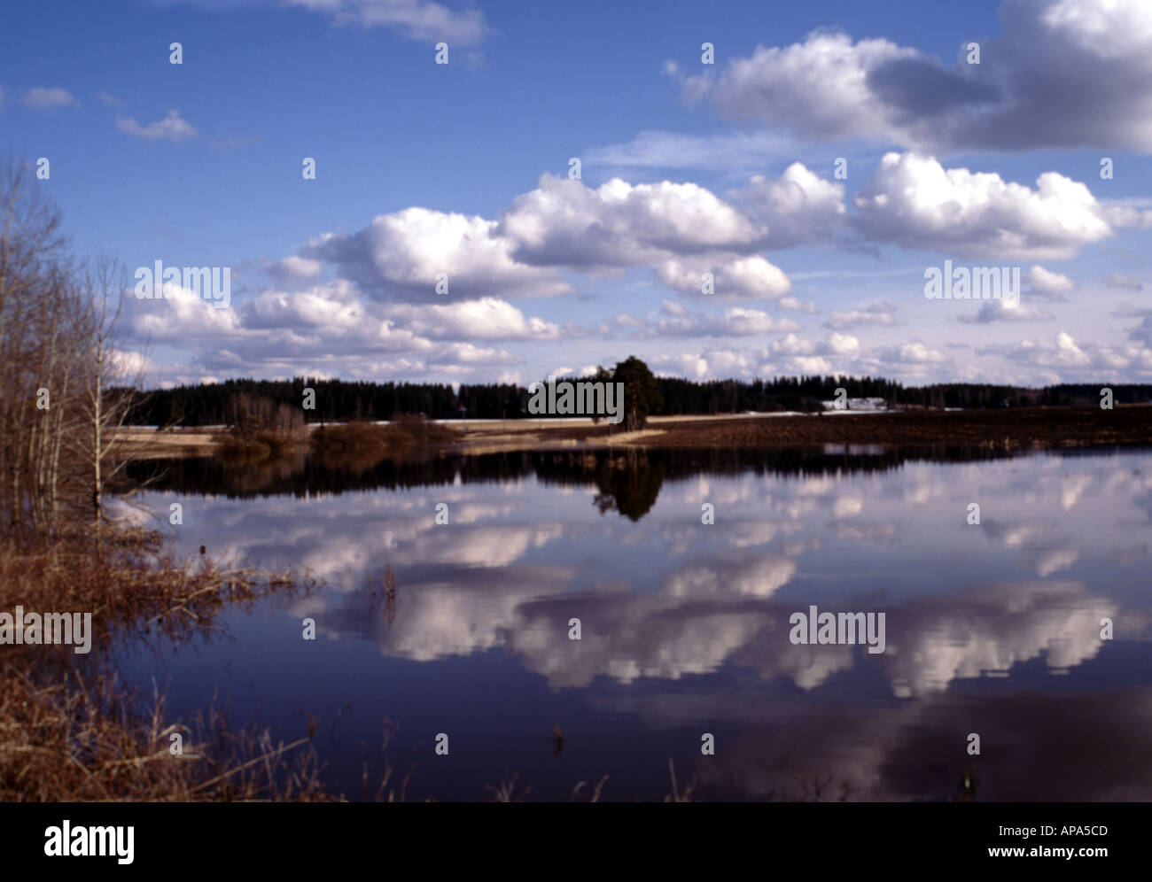 Finland River Loimaa reflections Jokioinen Finland Stock Photo - Alamy