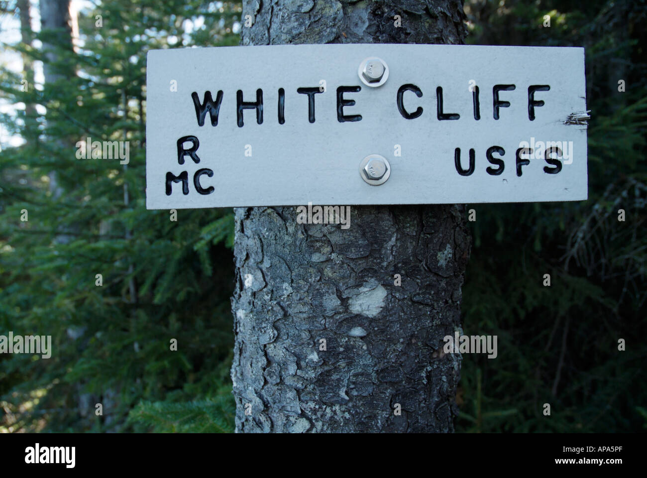 White Mountain National Forest of New Hampshire USA Trail Sign Stock ...