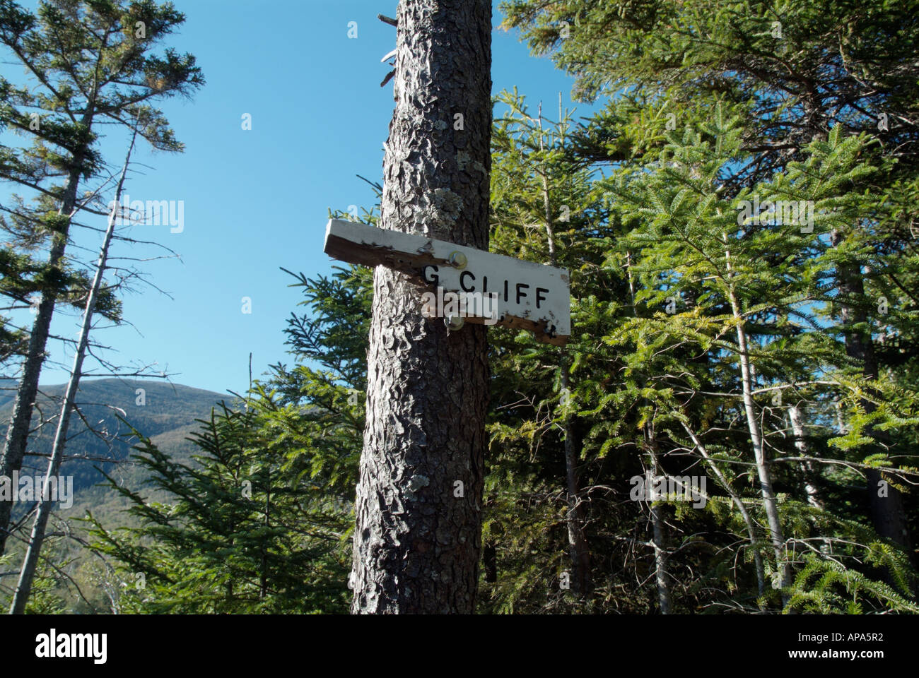 White Mountain National Forest of New Hampshire USA Trail Sign Stock ...