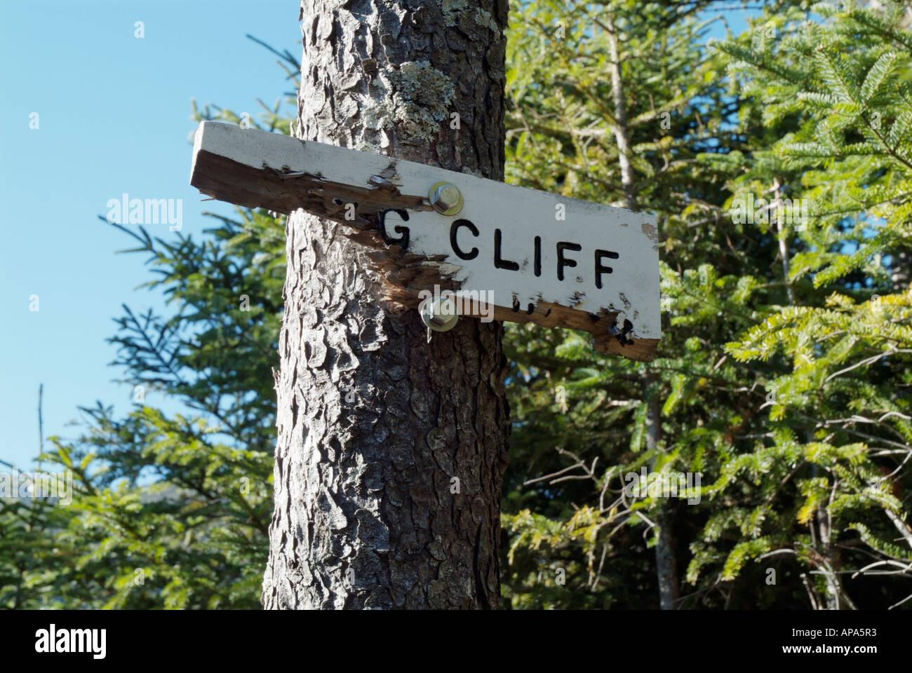 White Mountain National Forest of New Hampshire USA Trail Sign Stock ...