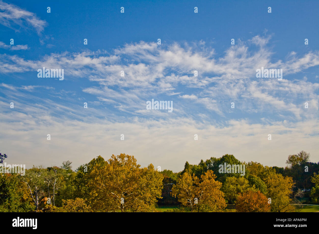 Autumn foliage and sky in the Washington, DC area Stock Photo - Alamy
