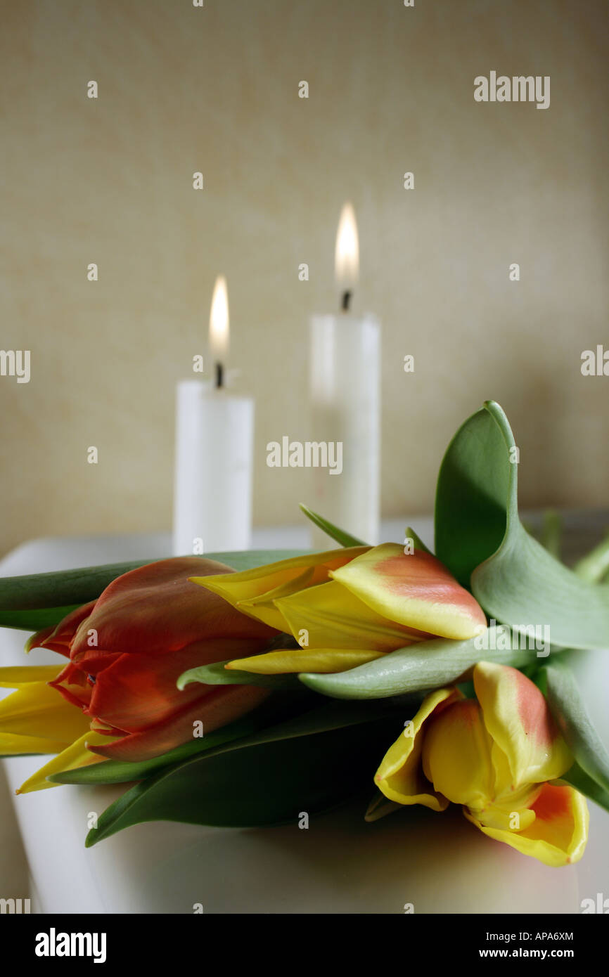 Tulips in red and yellow with candles behind for wedding or funeral ...