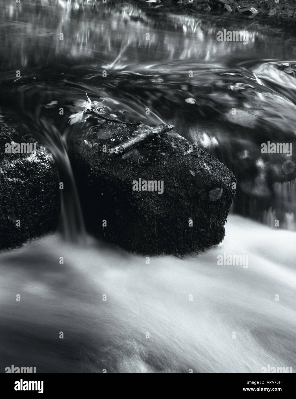 Moving black and hi-res stock photography and images - Alamy