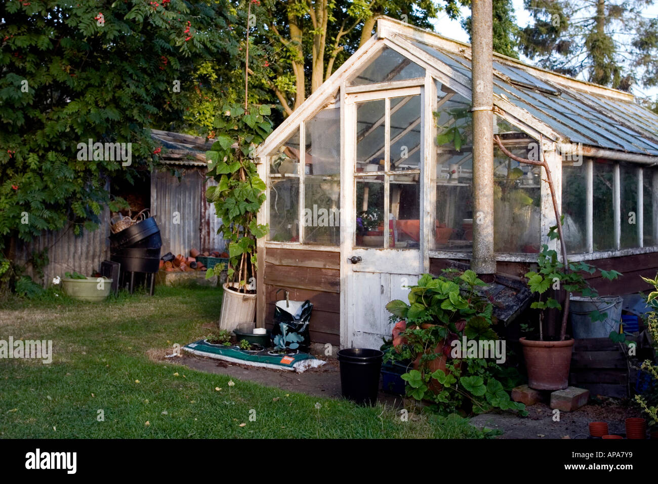 English Garden Cottage Greenhouse