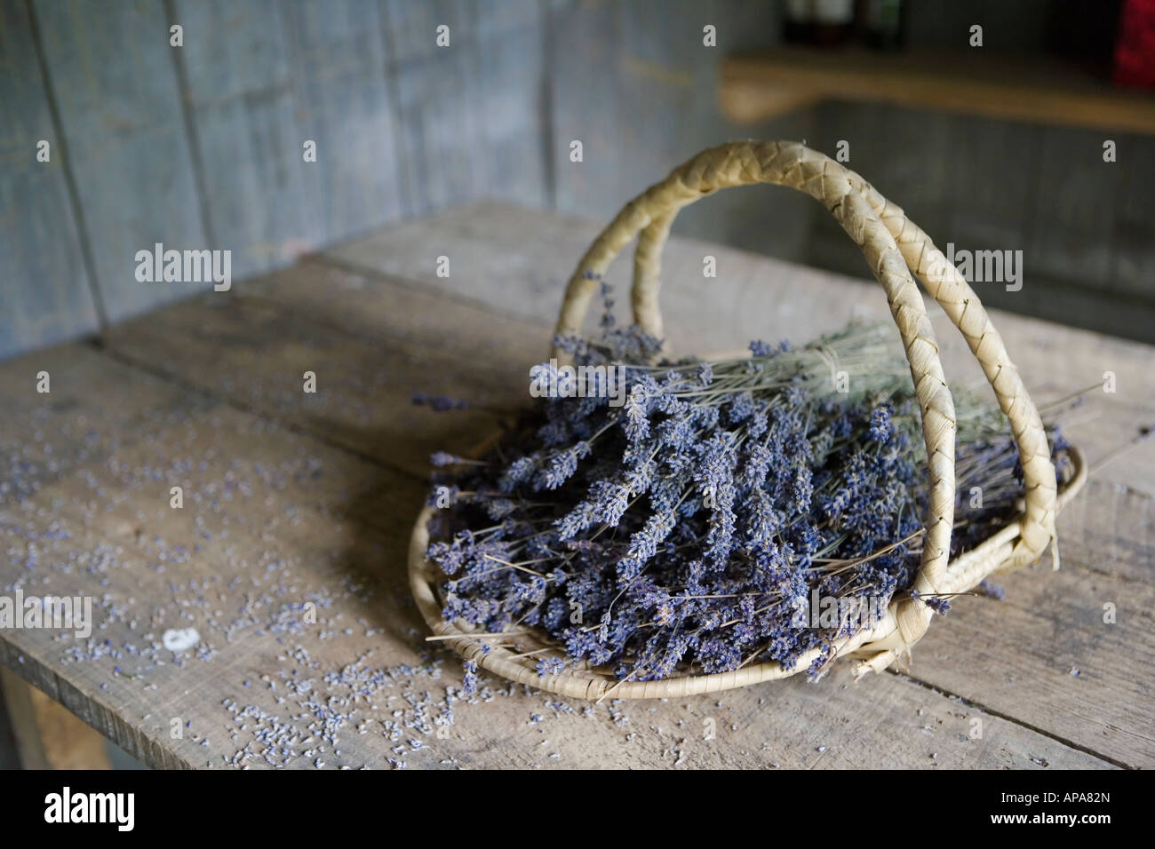 The Herb Farm garden Ashurst New Zealand Stock Photo - Alamy