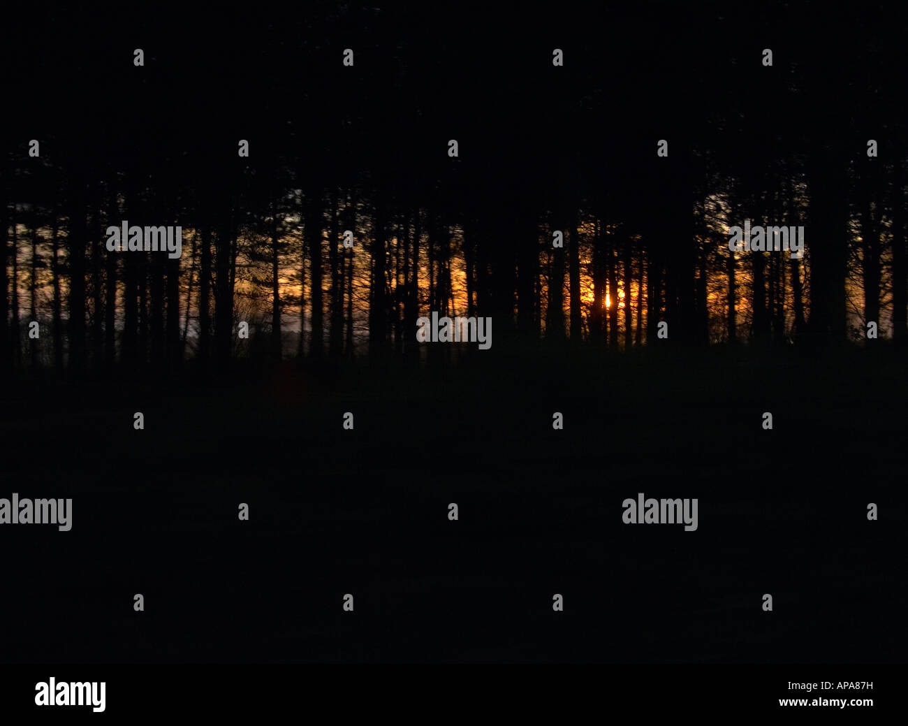 Glimpse through trees hi-res stock photography and images - Alamy