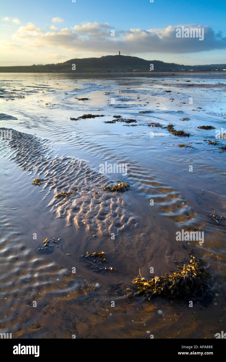 Strangford Lough estuary at low tide, Newtownards, County Down ...