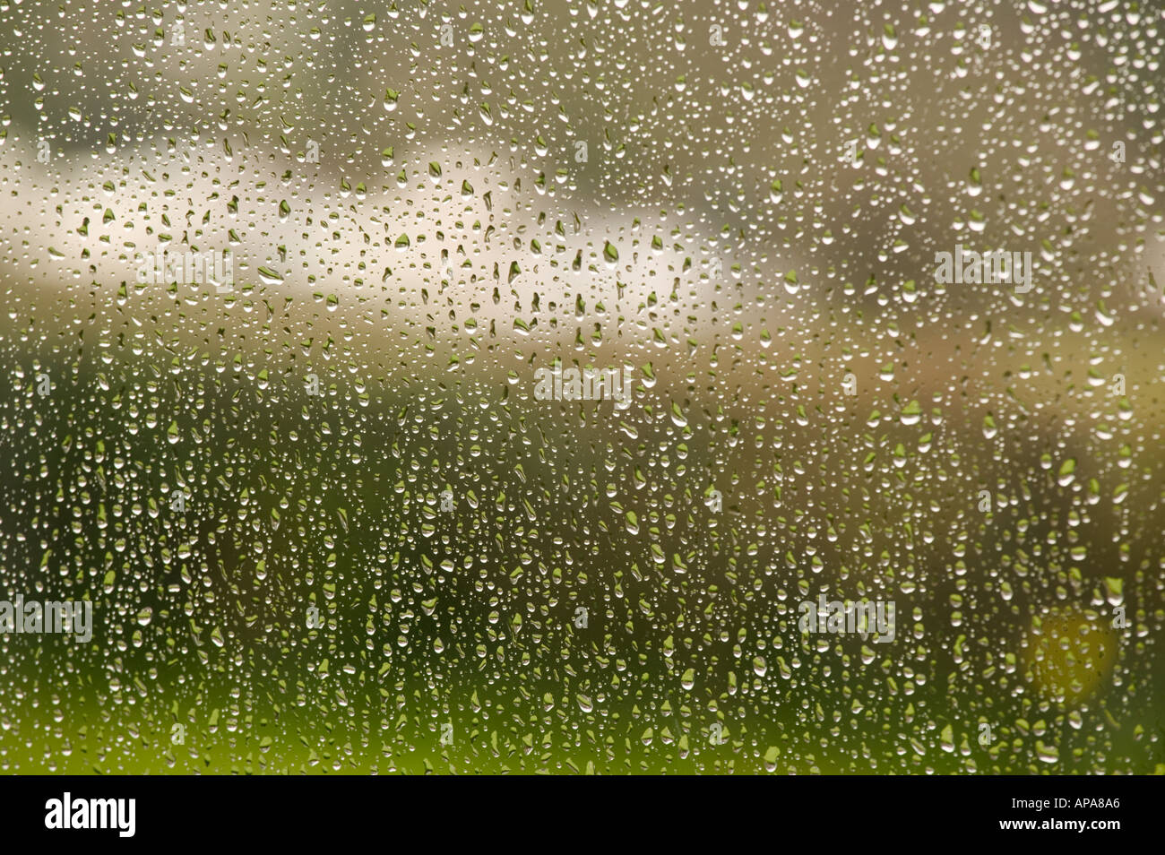 Rain running down the window Stock Photo - Alamy