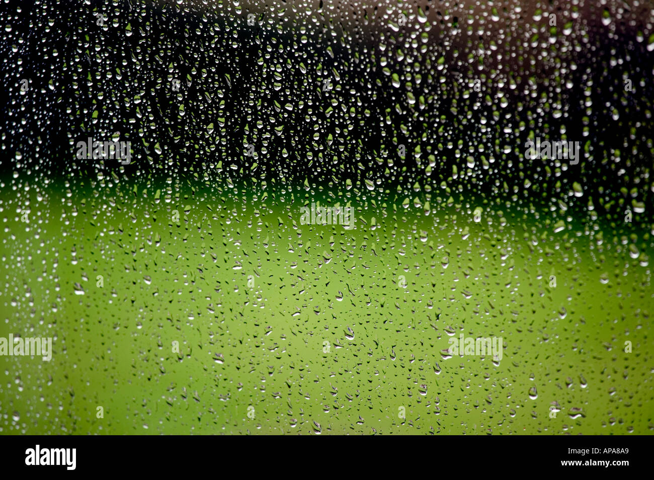Down came the rain hi-res stock photography and images - Alamy