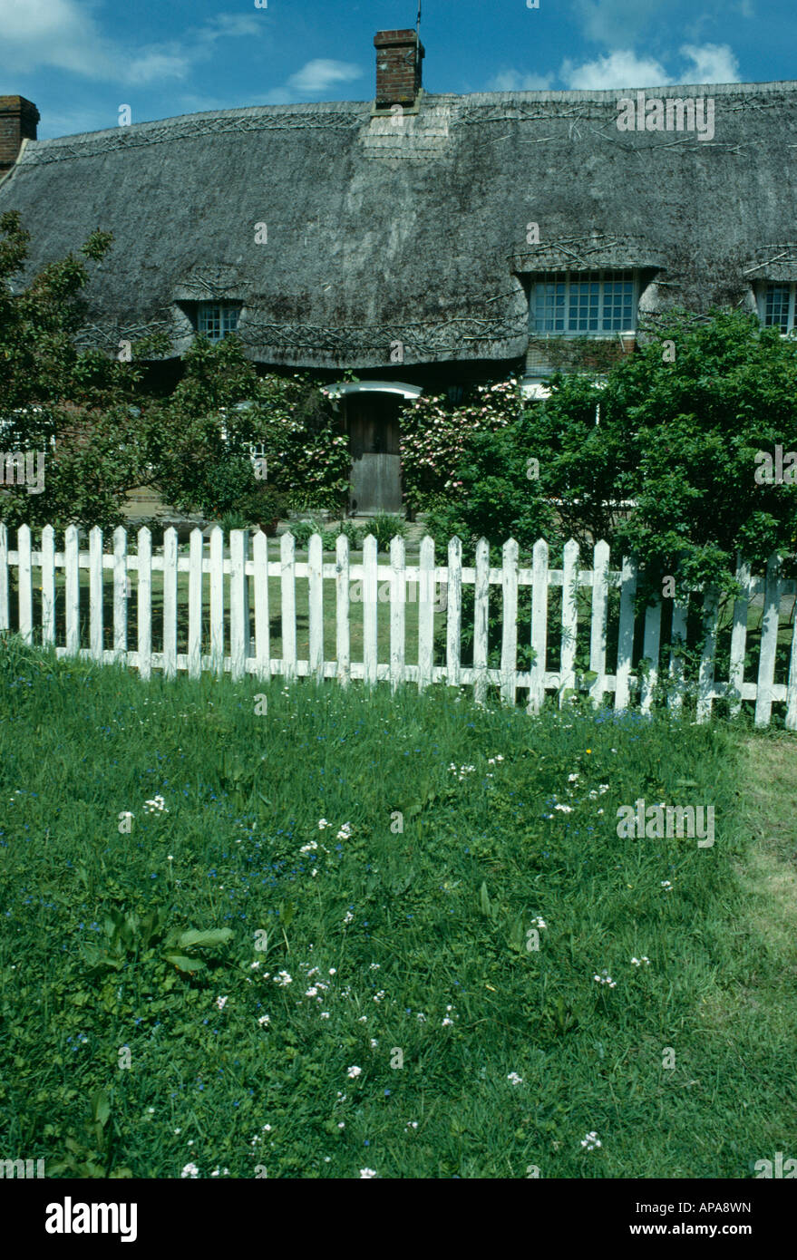 White picket fence in front of thatched country cottage Stock Photo - Alamy