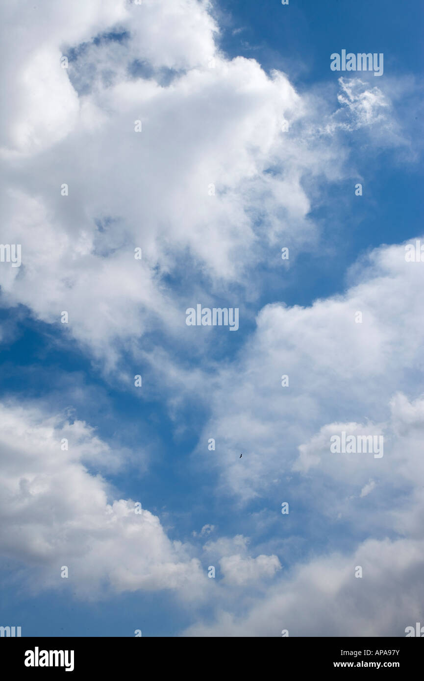 Coulor image hi-res stock photography and images - Alamy