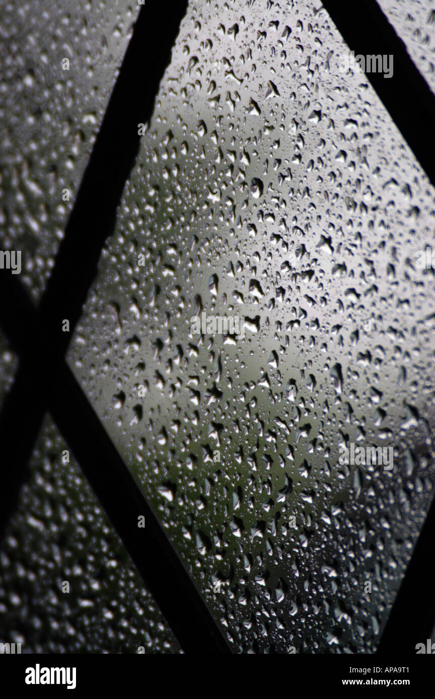 Raindrops on a Window Pane with leaded lights Stock Photo - Alamy