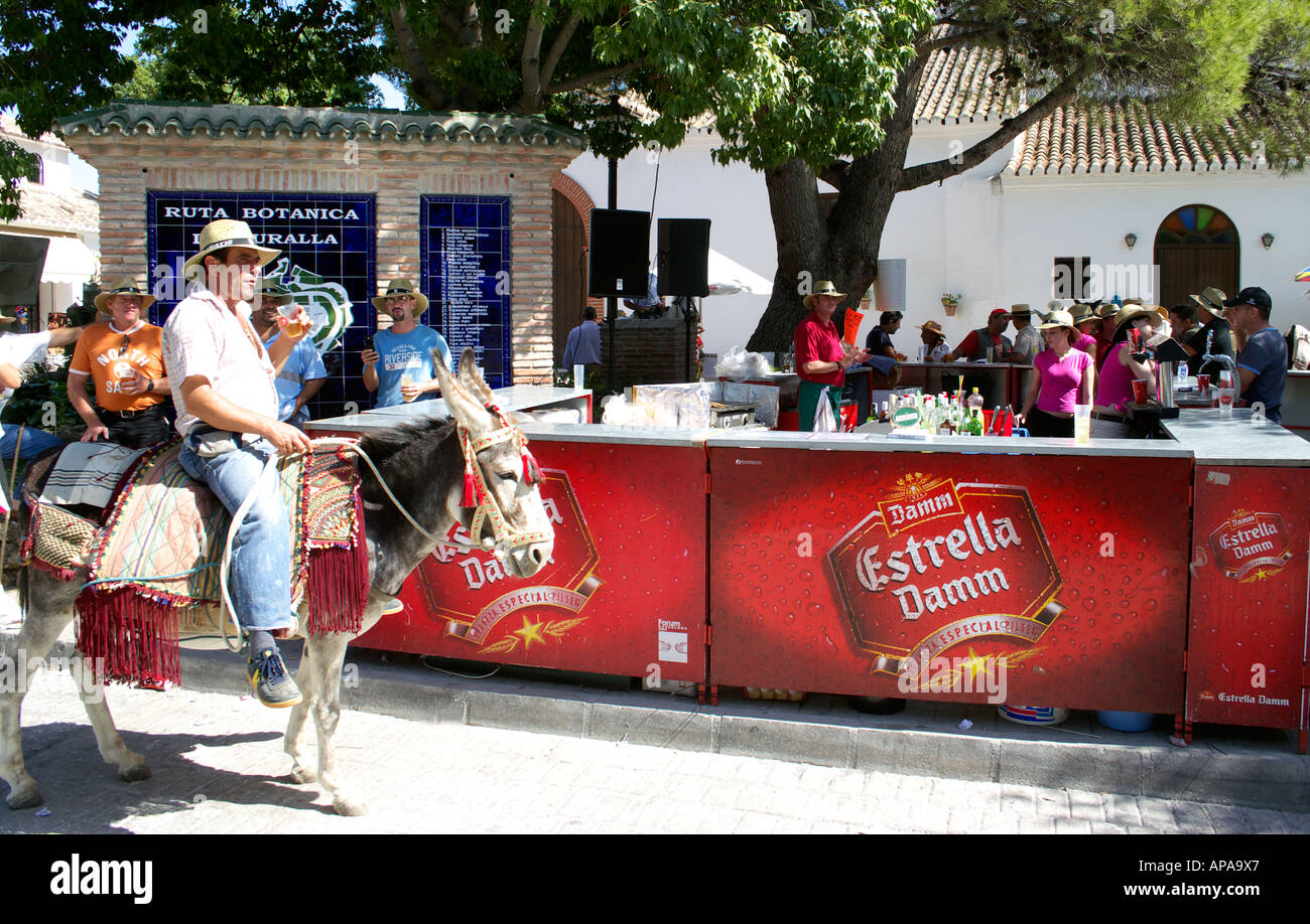Men and mule at the bar, Mijas Feria, Spain Stock Photo - Alamy