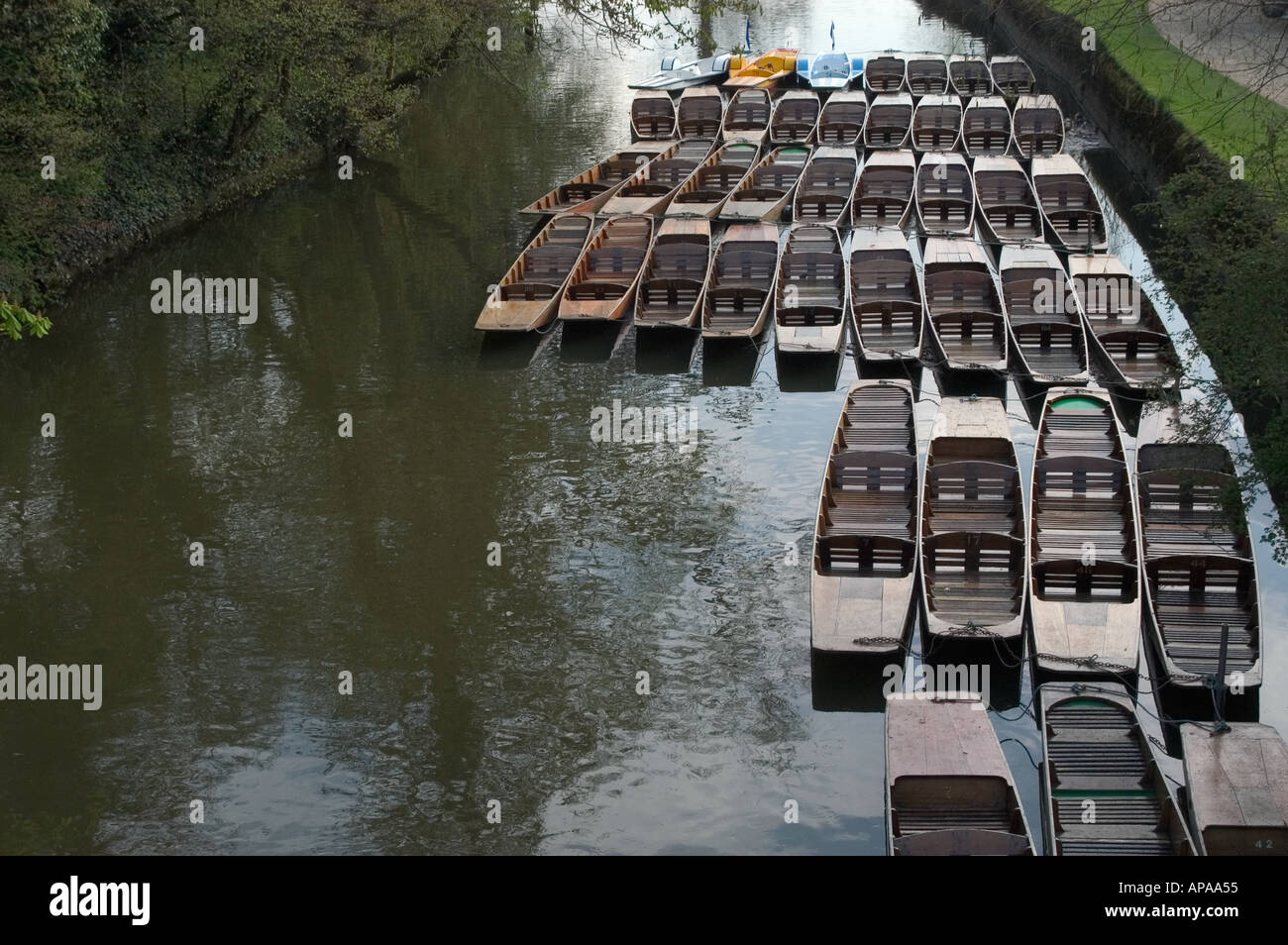 Punts moored under Magdalen bridge oxford Stock Photo - Alamy