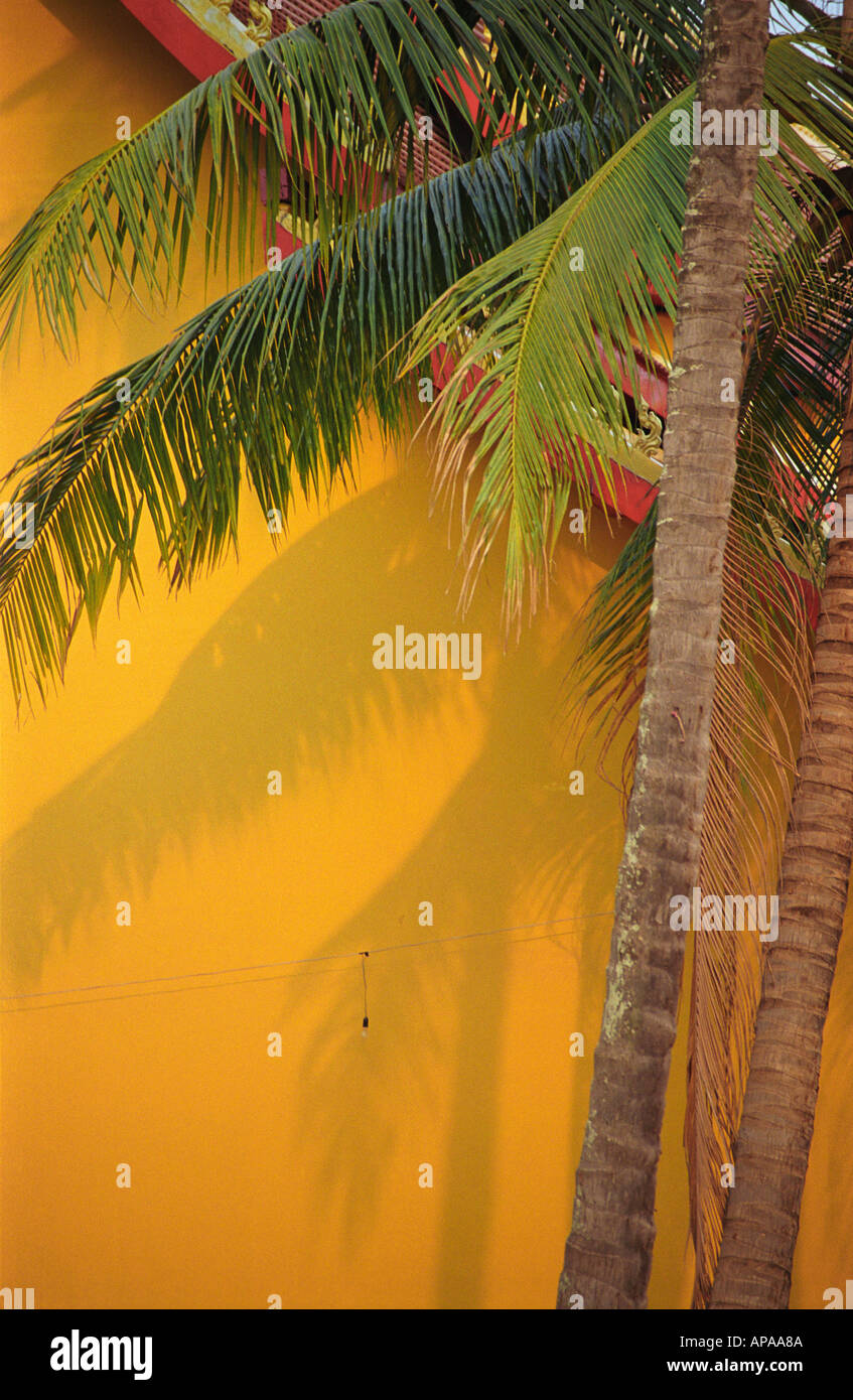 Yellow Temple Wall with a Palm Tree, Vientiane (Laos Stock Photo - Alamy