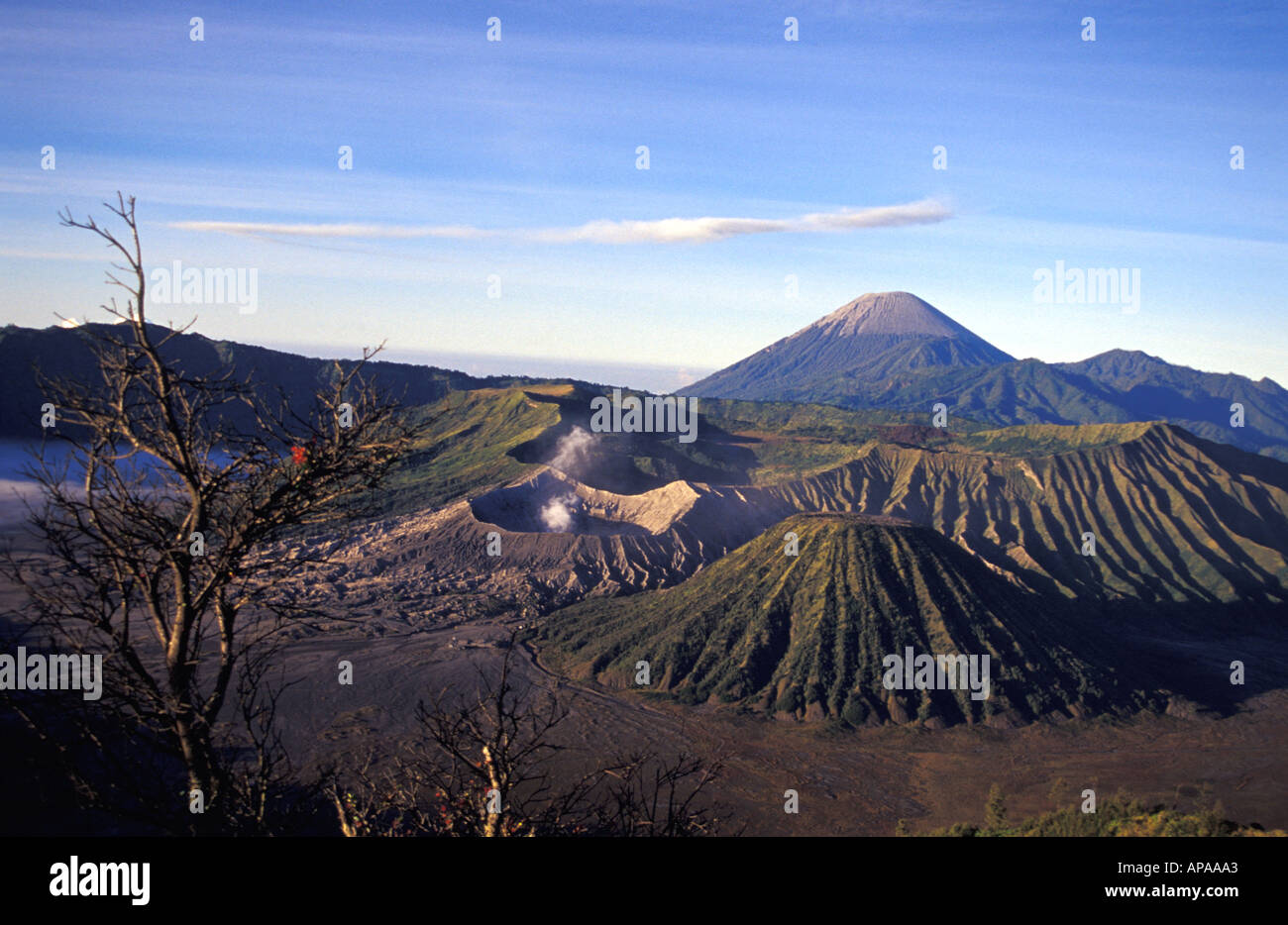 Volcanic Landscape of Mt Bromo in Indonesia Stock Photo - Alamy