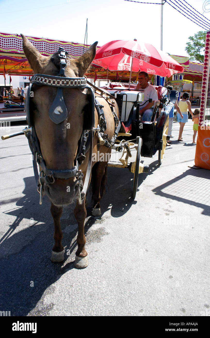 Pony cart trap hi-res stock photography and images - Alamy
