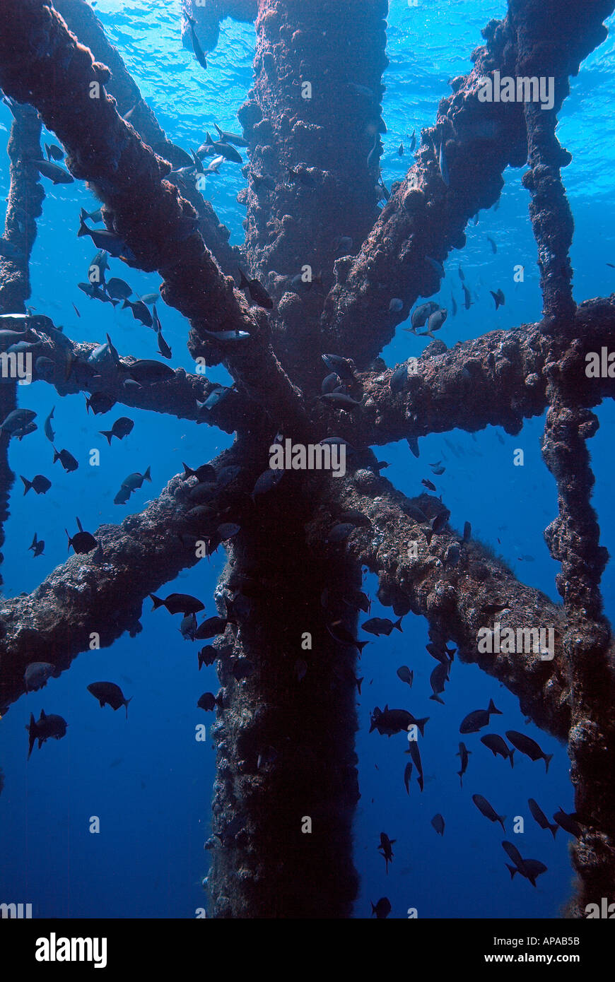 Oil rig gulf of mexico underwater hi-res stock photography and images ...