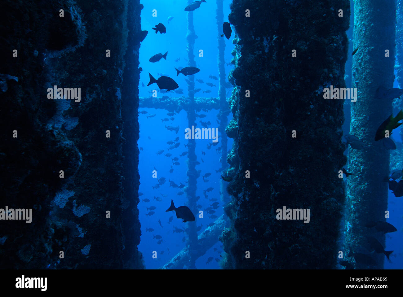 Oil rig structure, underwater hi-res stock photography and images - Alamy