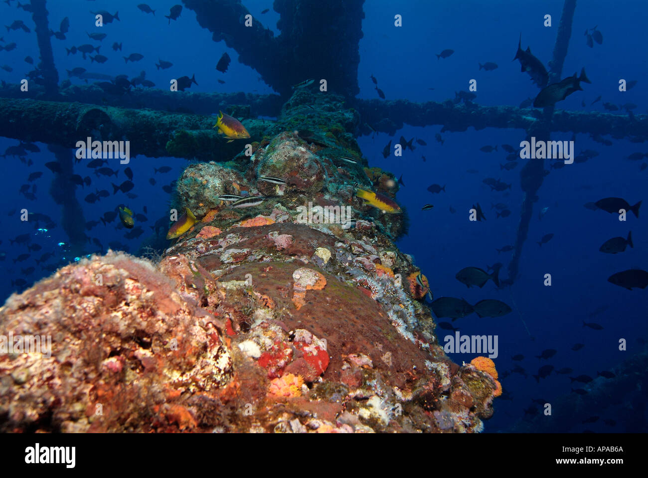 Gulf Of Mexico Rig Legs High Resolution Stock Photography and Images ...