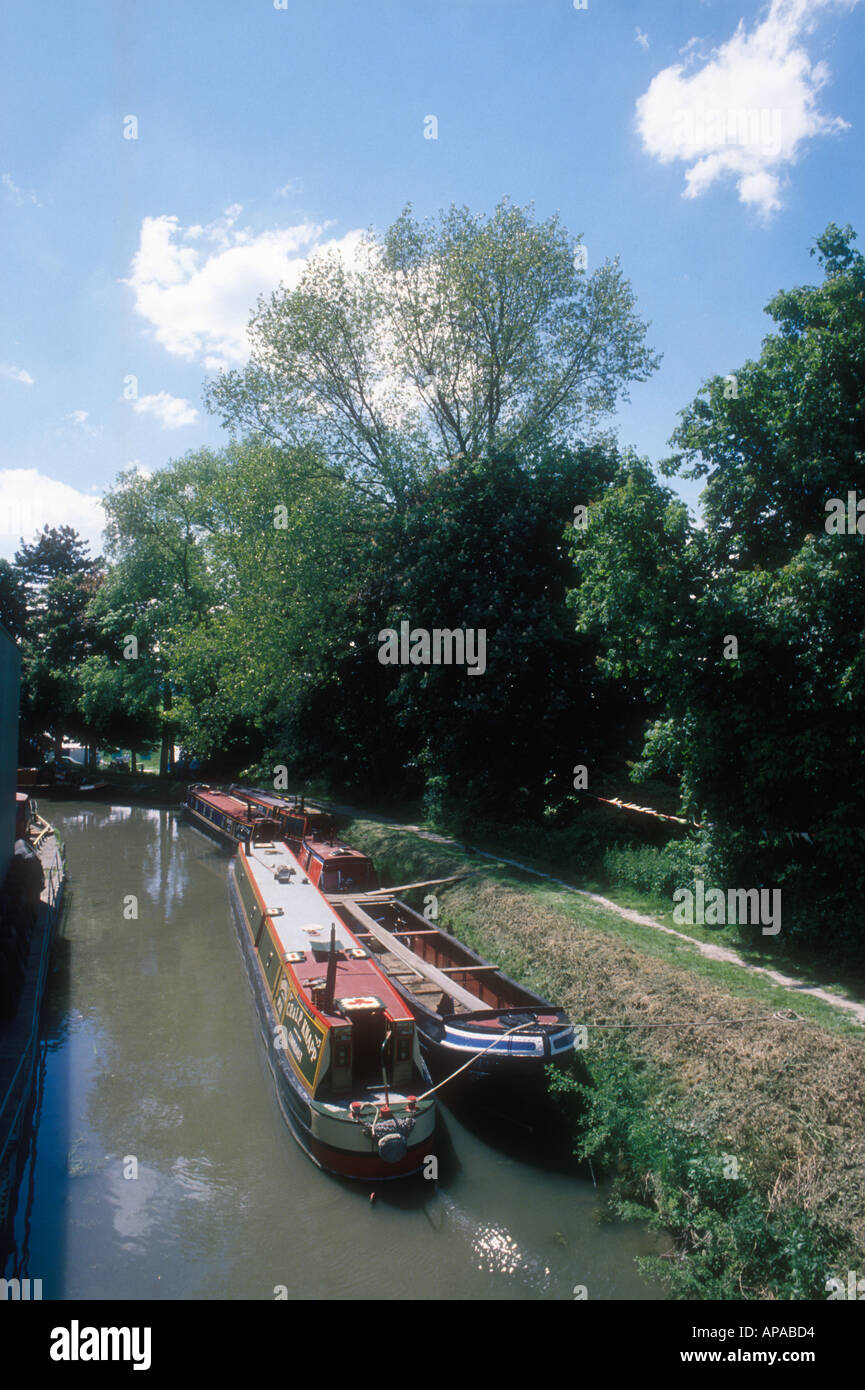 Narrowboats on the Wendover Arm of the Grand Union Canal at Tring in ...