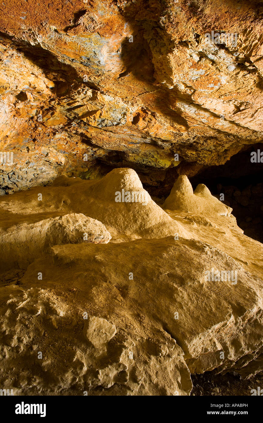Zhoukoudian peking man hi-res stock photography and images - Alamy