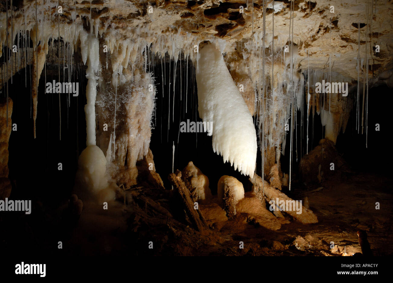 The Eagles Wing, a crystal formation in Easter Cave, Western Australia ...