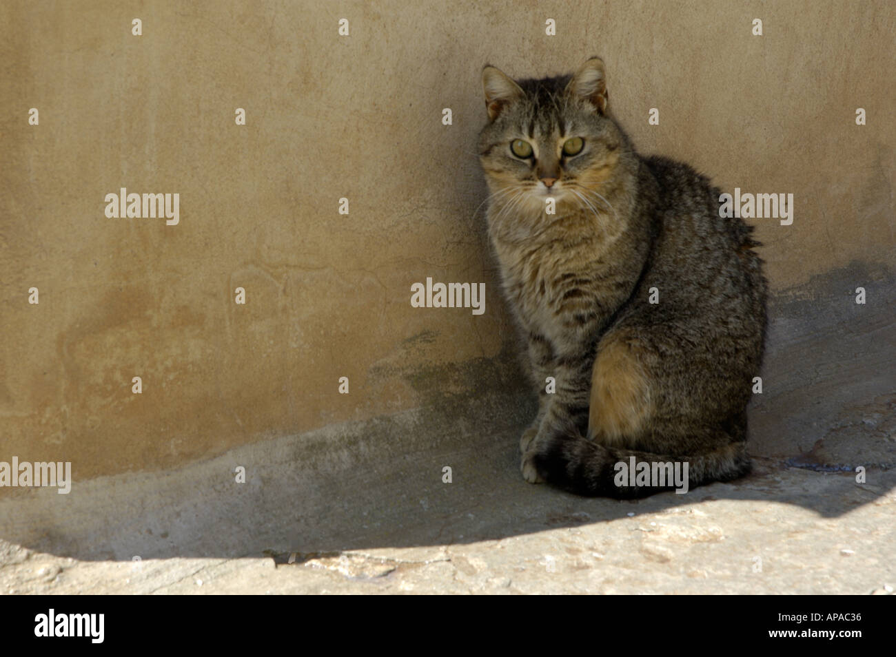 Ordinary full hi-res stock photography and images - Alamy