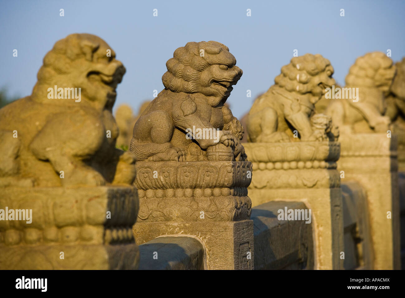 Stone Lion on Lugou Bridge Stock Photo - Alamy