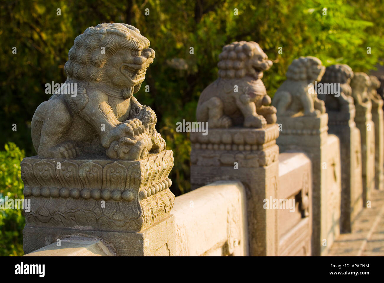 Stone Lion on Lugou Bridge Stock Photo - Alamy