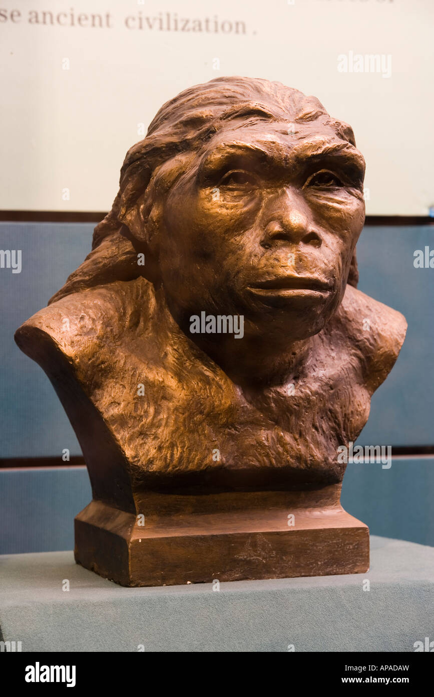 Unearthed Cultural Relics Xi'an Stock Photo - Alamy