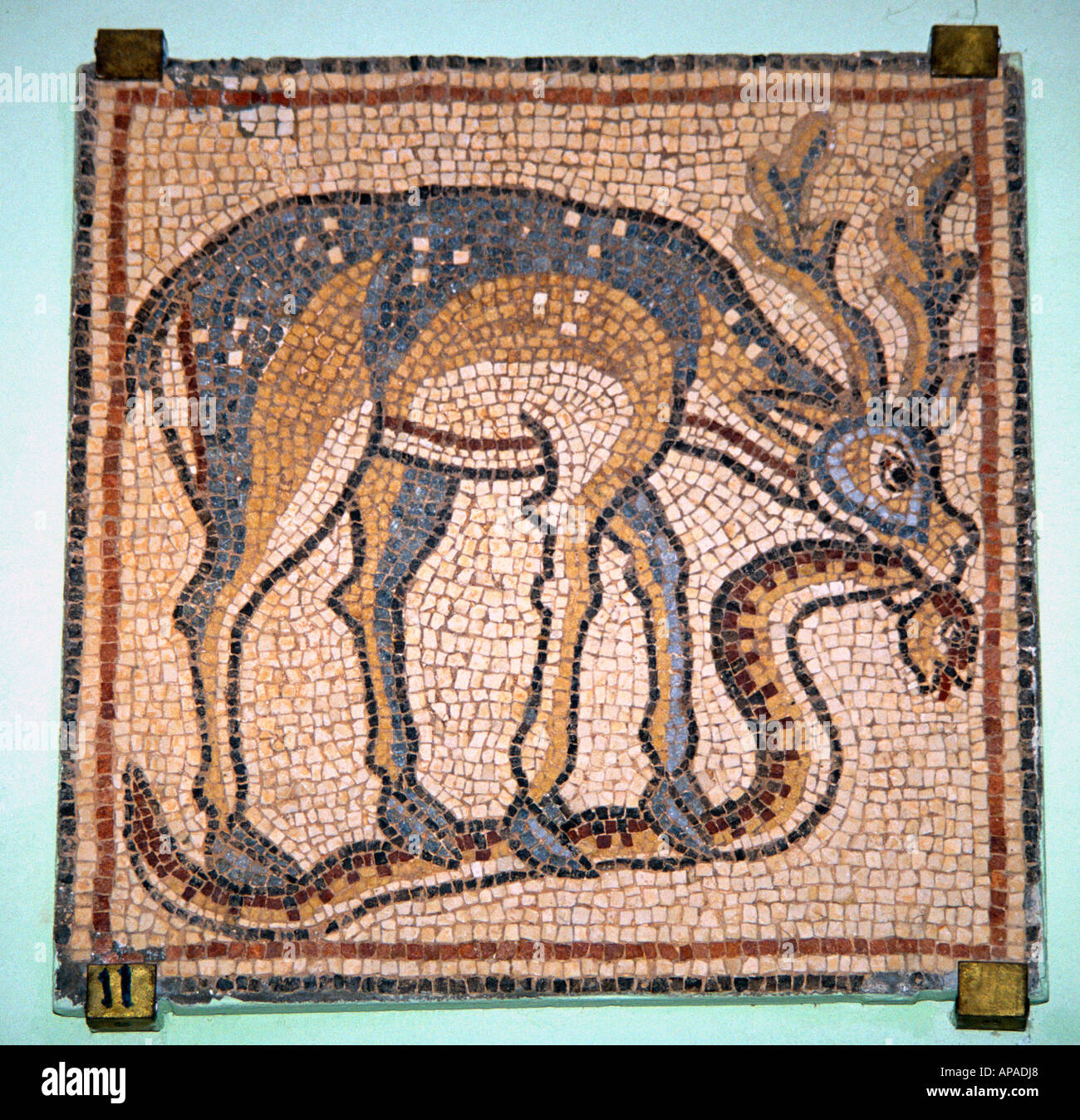 Snake mosaic hi-res stock photography and images - Alamy