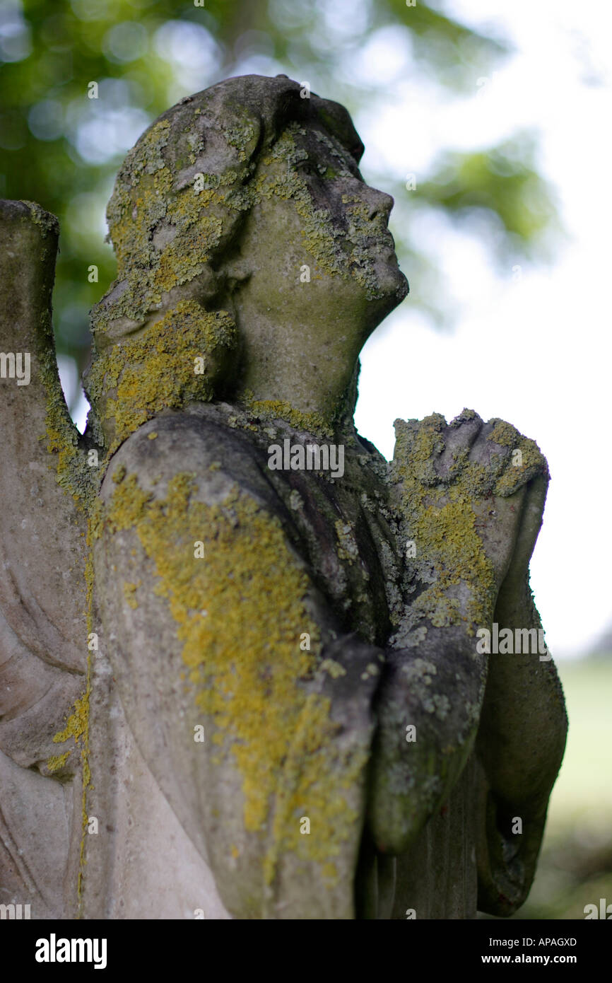 Stone statue of praying angel in English graveyard Stock Photo - Alamy
