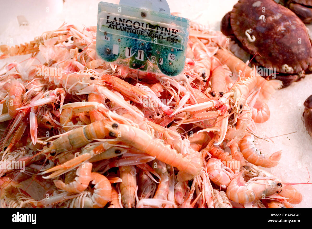 cover fish market in france Stock Photo - Alamy